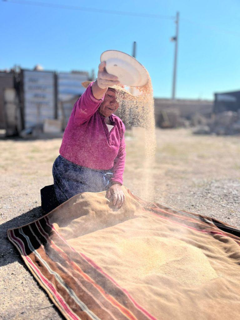 RUTA ALTIPLÁNICA: 4 DÍAS Y 3 NOCHES (Huasquiña-Colchane-Camiña ...